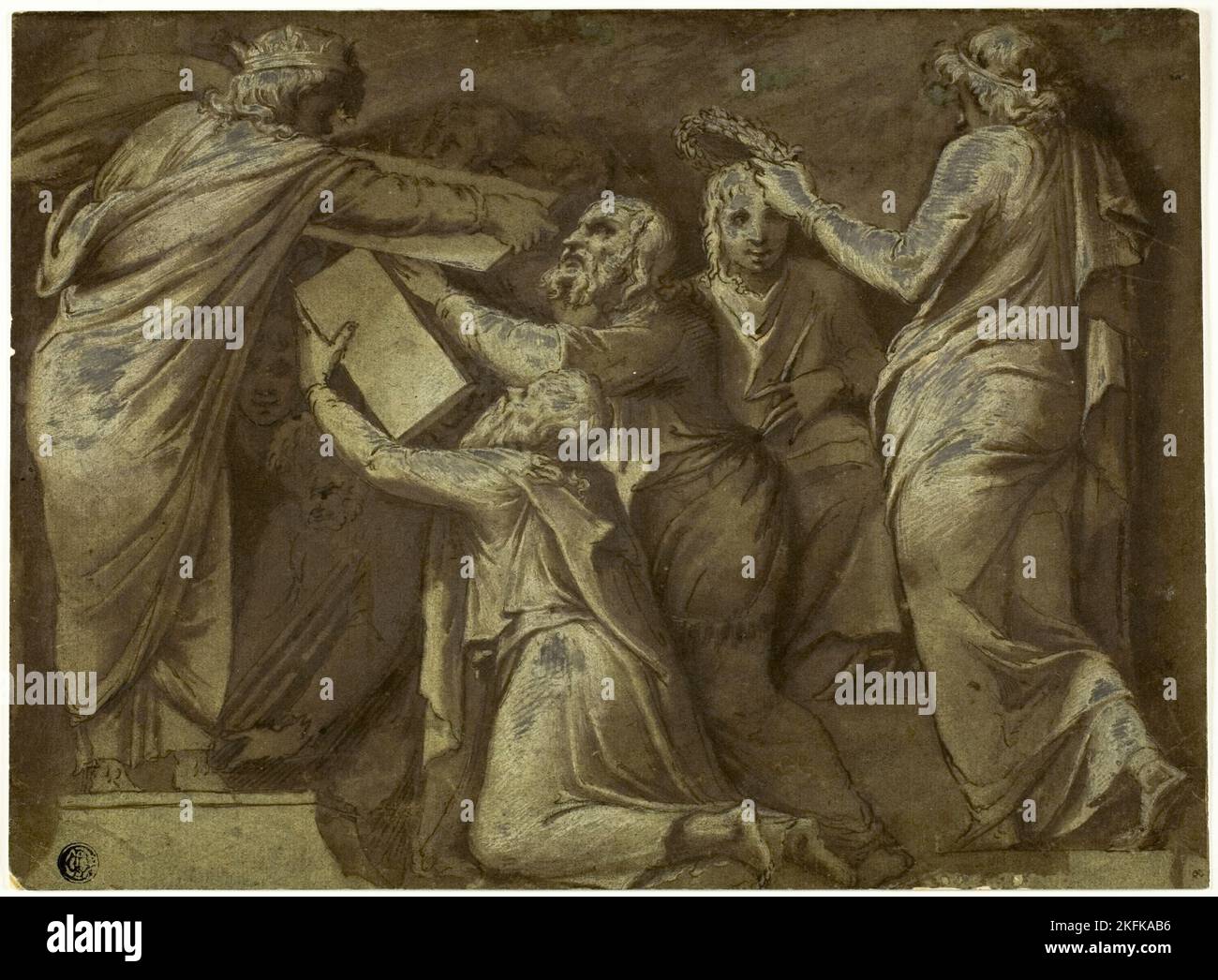 Numa pompilius Banque de photographies et d’images à haute résolution ...