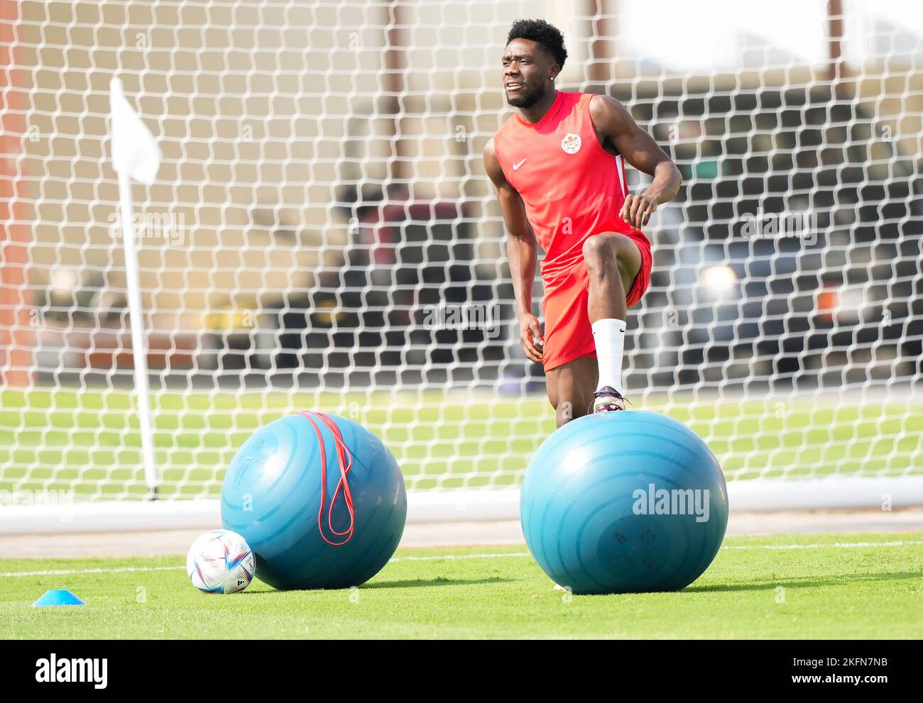 Doha, Qatar. 19th novembre 2022. 19 novembre 2022, DOHA, QATAR: Le ...