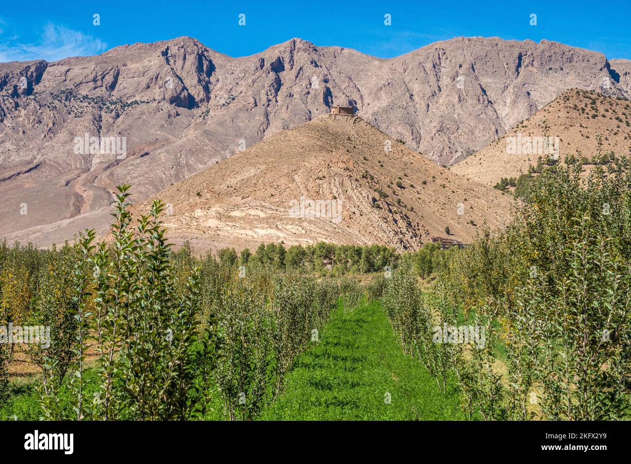 Maroc ait Banque de photographies et d’images à haute résolution - Alamy
