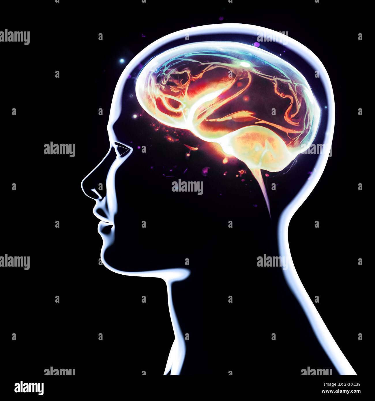 Neurologie, philosophie : connexions, développement de la pensée et de ...