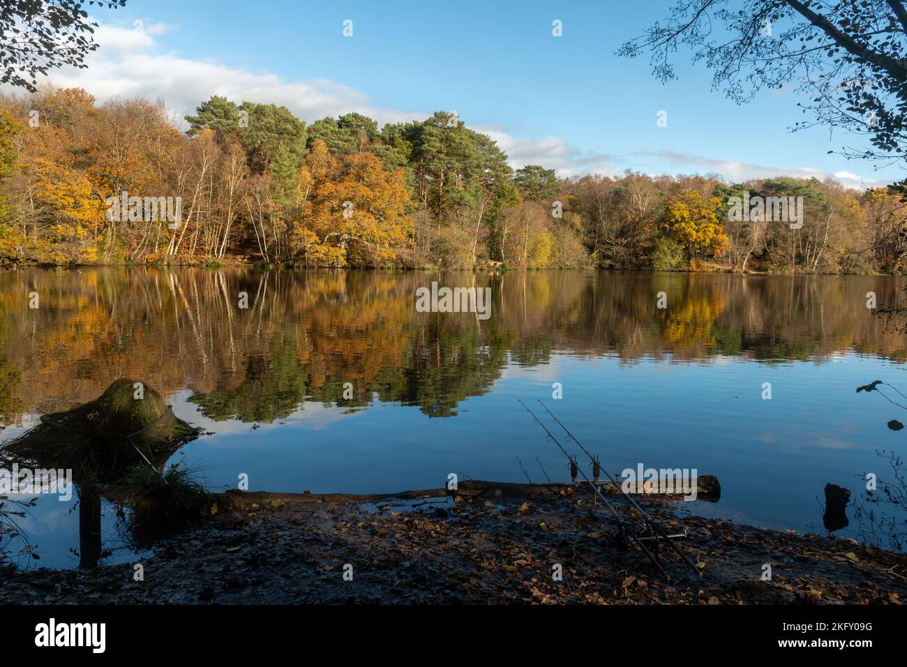 Le Tarn, un lac à côté de Puttenham Common, Surrey, Angleterre, Royaume ...