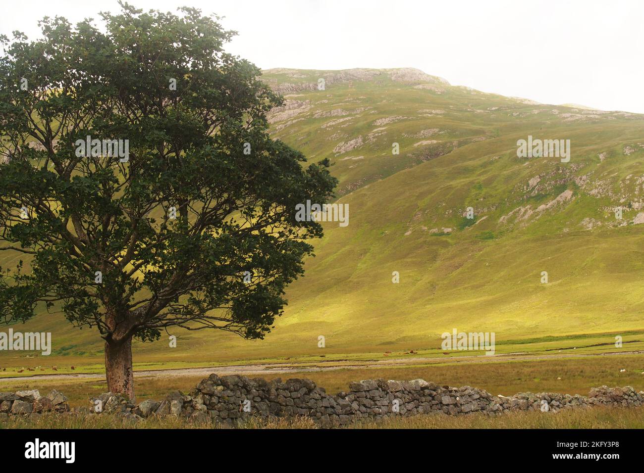 Glen cannel Banque de photographies et d’images à haute résolution - Alamy
