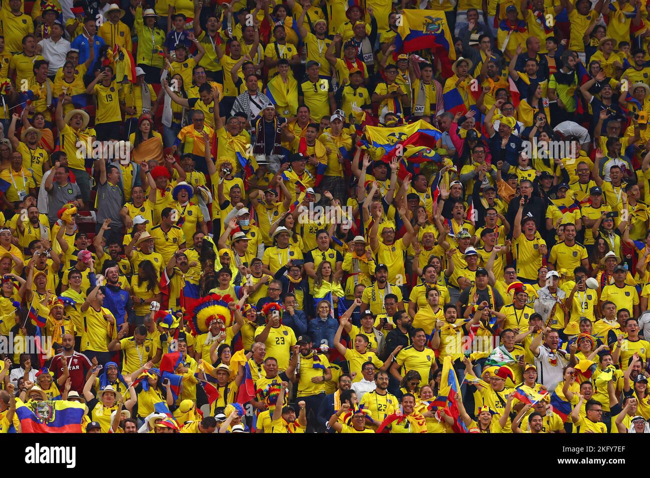 Doha, Qatar. 20th novembre 2022. Les fans équatoriens fêtent lors du ...