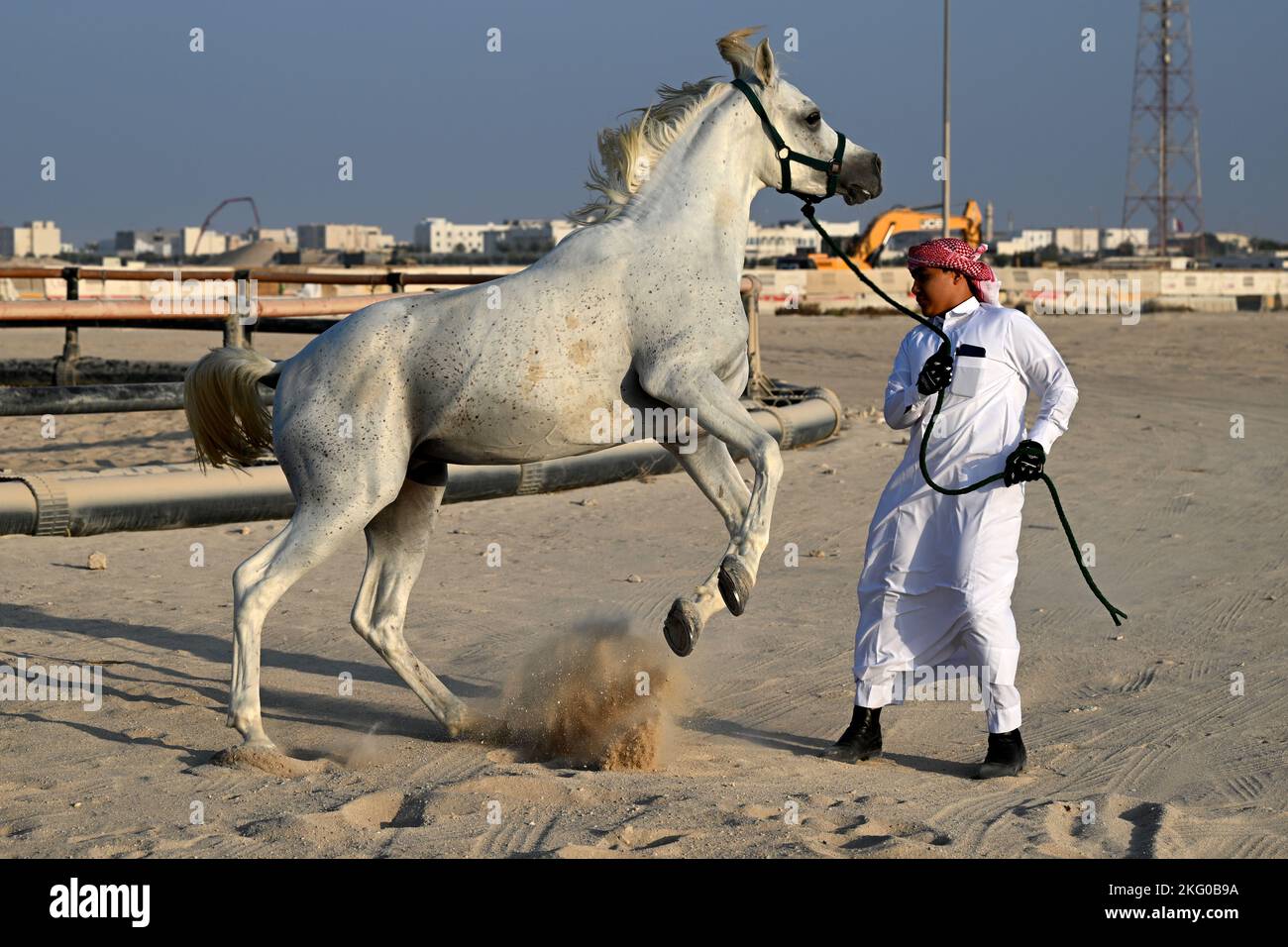 Al Ruwais, Qatar. 20th novembre 2022. Qatari Marwan Sameh mène un ...