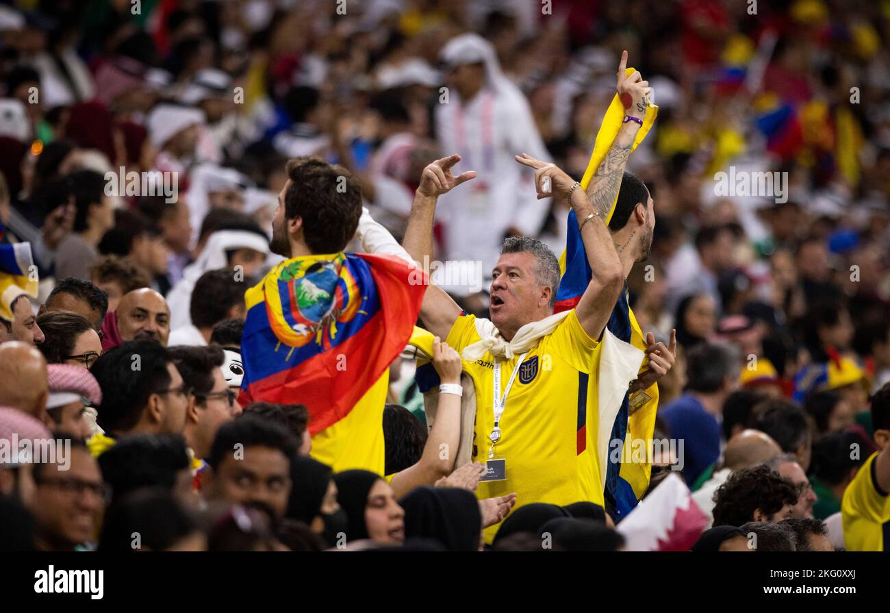 Doha, Qatar. 20th nov, 2022. Ou 20.11.2022 fans von Equateur Qatar ...
