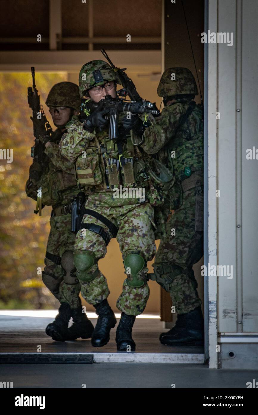 Room clearing Banque de photographies et d’images à haute résolution ...