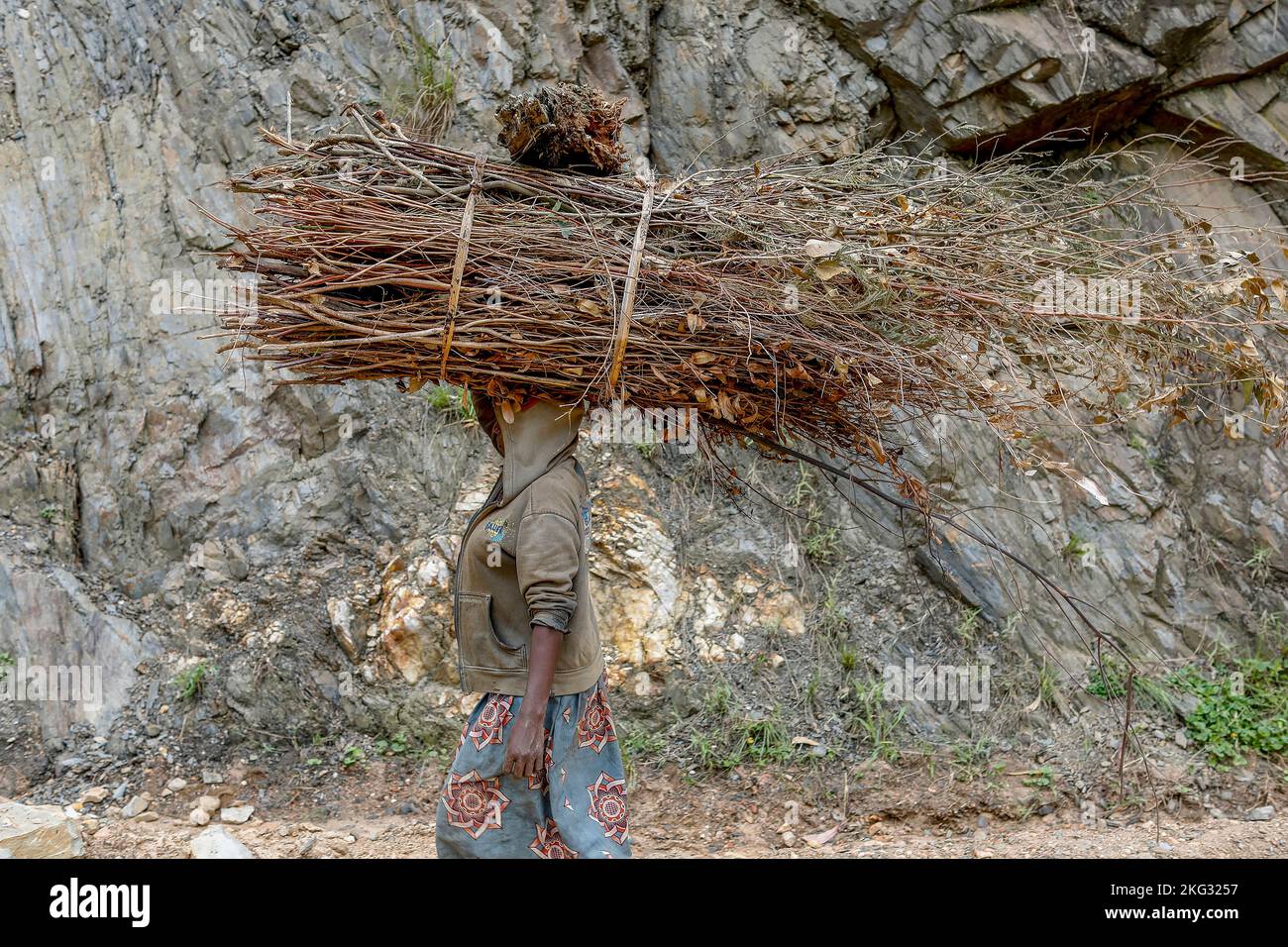 Fille portant du bois de chauffage Banque de photographies et d’images ...