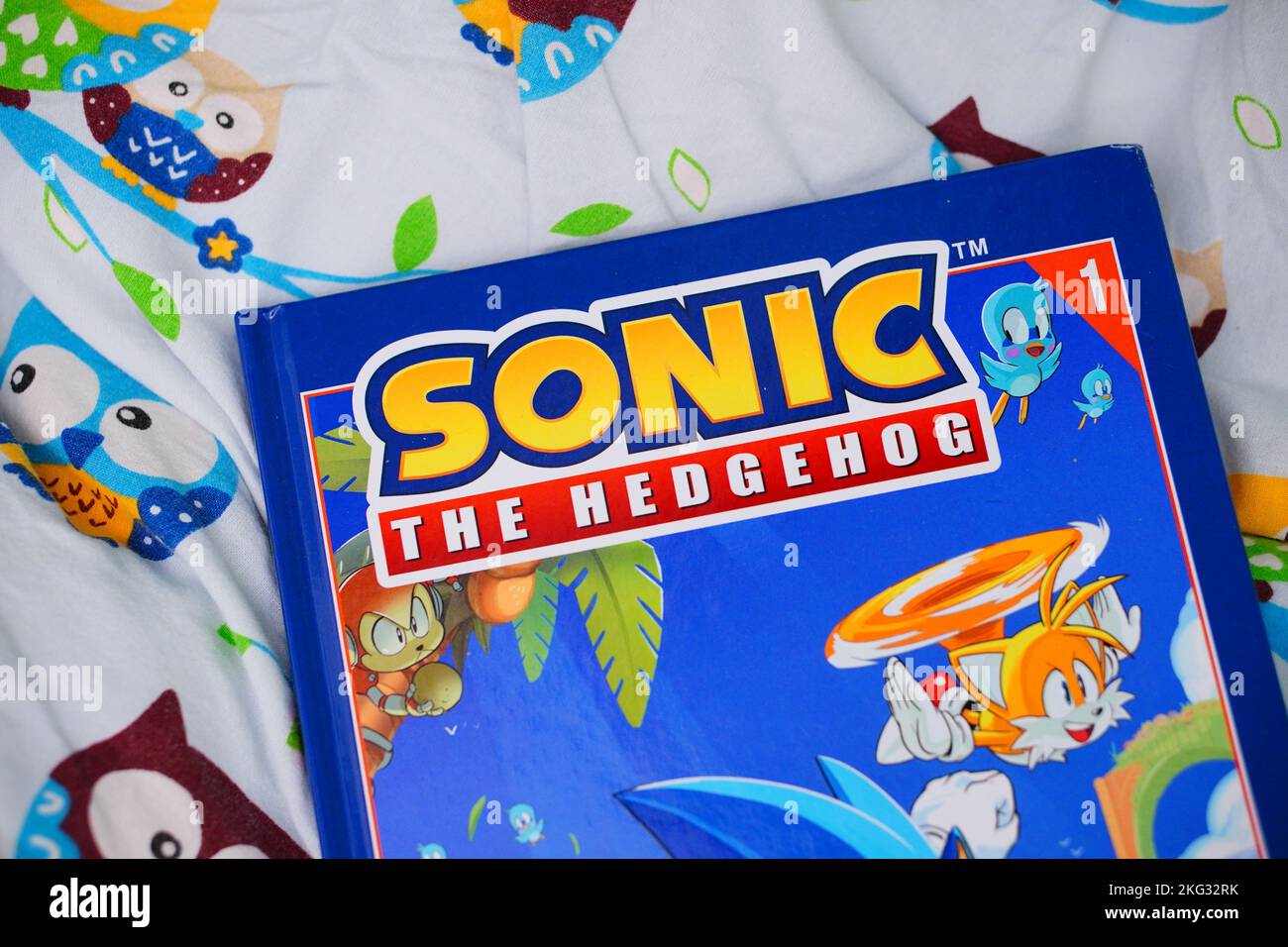 Une bande dessinée de Sonic le hérisson qui pose sur une feuille Photo ...