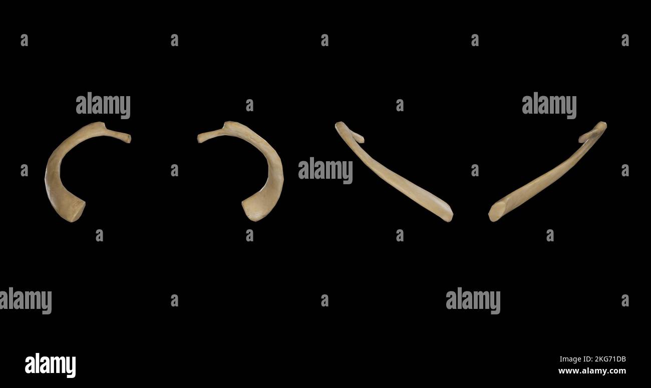 Première côte Banque de photographies et d’images à haute résolution ...