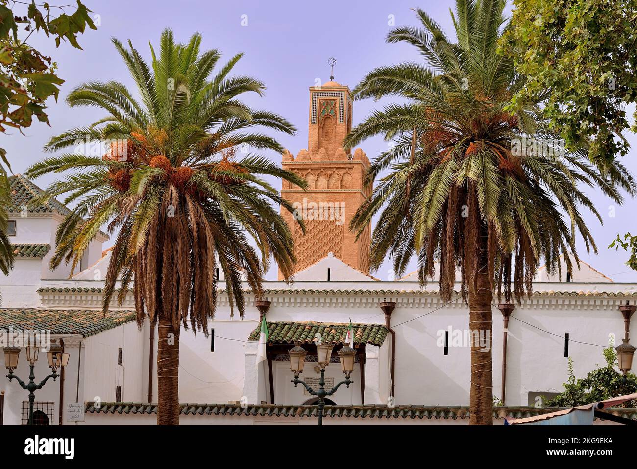 Ville de tlemcen Banque de photographies et d’images à haute résolution - Alamy