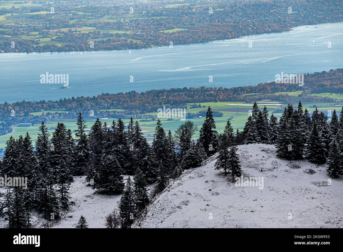 Arbres enneigés. Paysage de montagne, forêt et lac de Genève ...