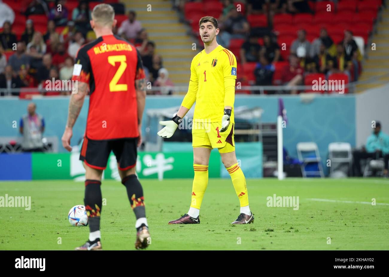 Le gardien de but belge Thibaut courtois lors de la coupe du monde de la FIFA 2022, match de ...