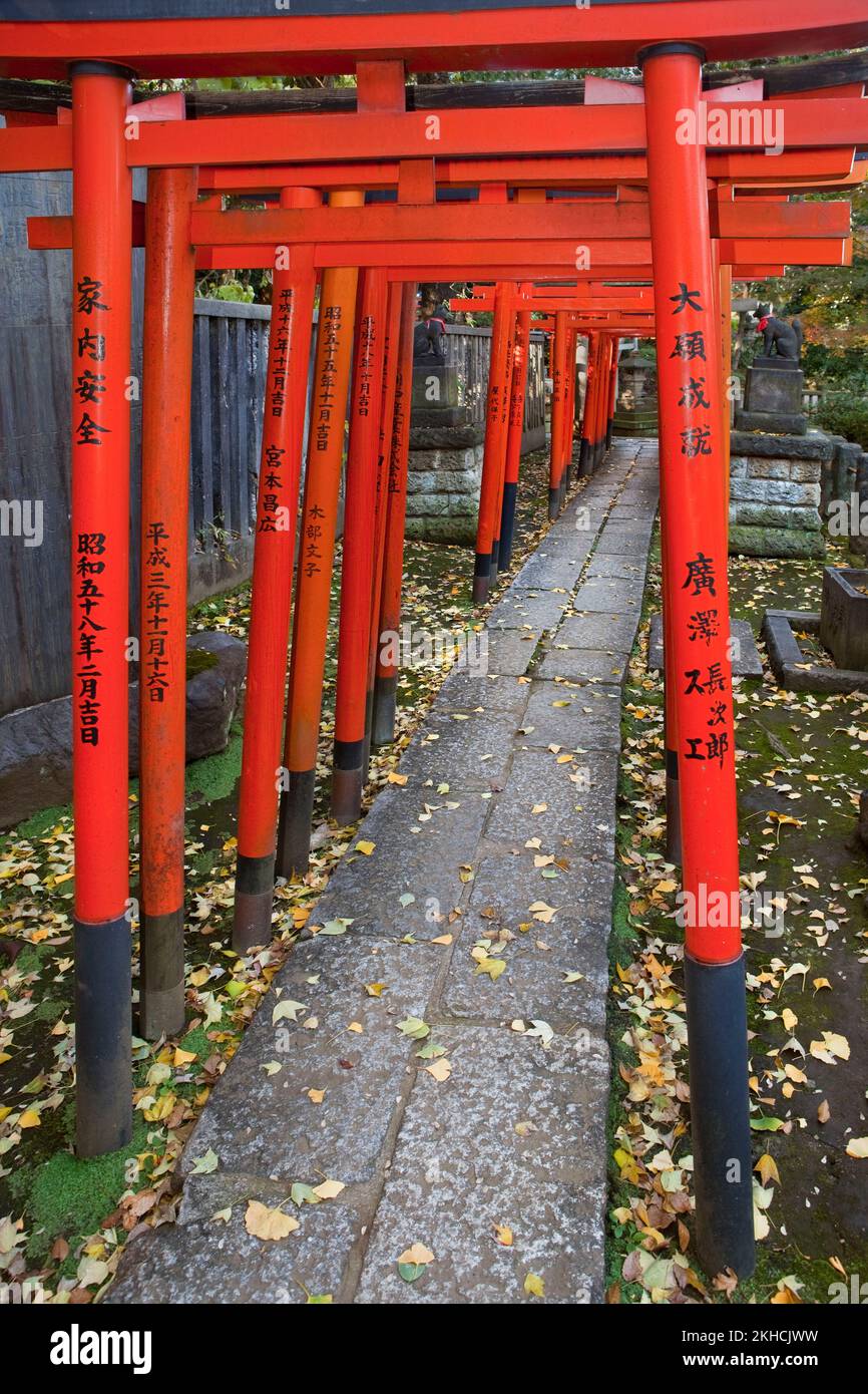 Torii gates nezu sanctuaire Banque de photographies et d’images à haute ...