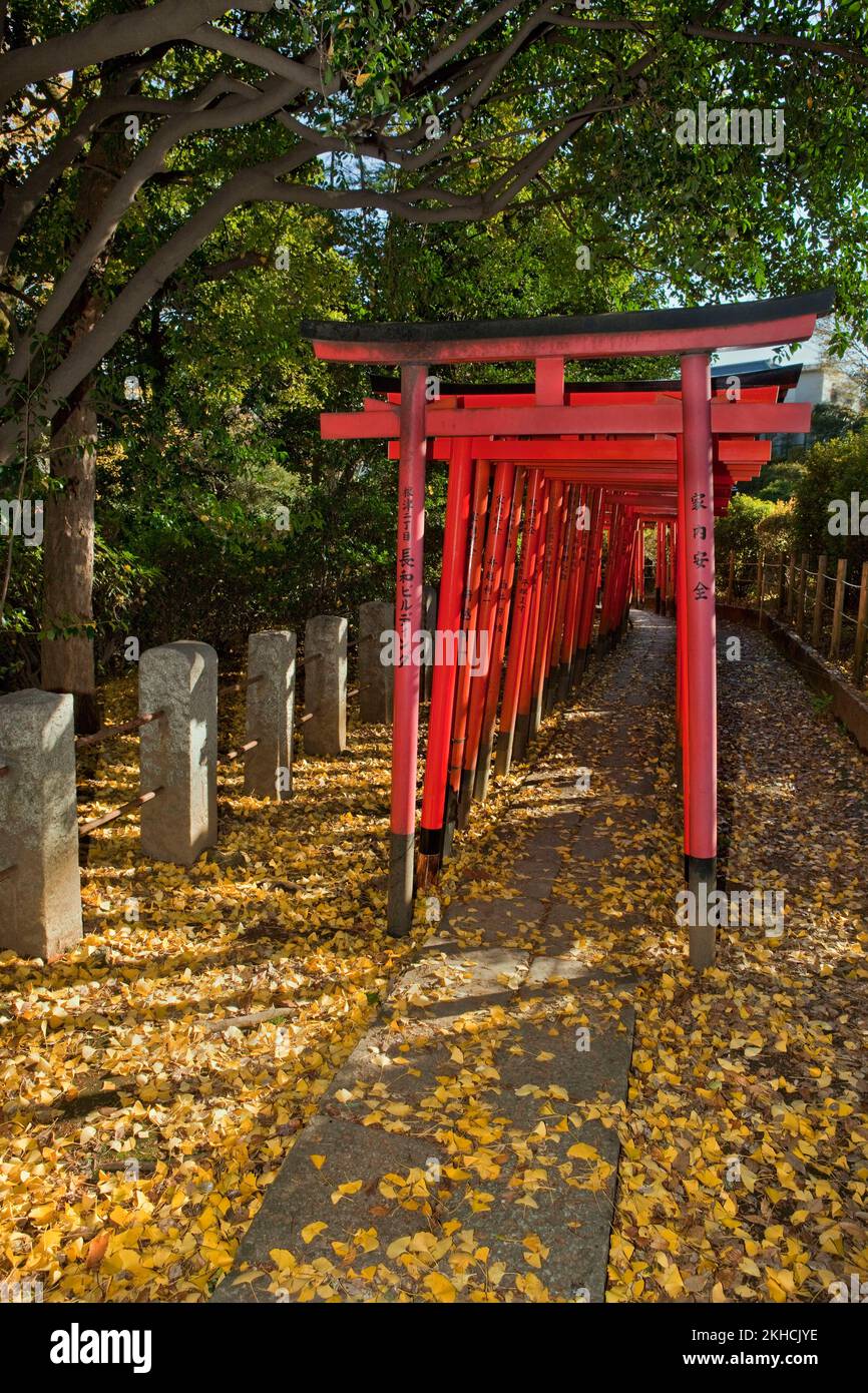 Torii gates nezu sanctuaire Banque de photographies et d’images à haute ...