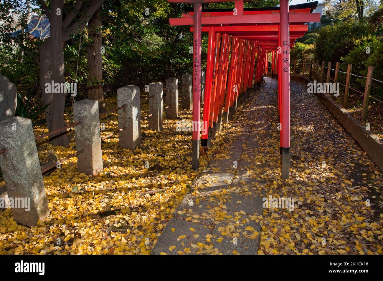 Torii gates nezu sanctuaire Banque de photographies et d’images à haute ...