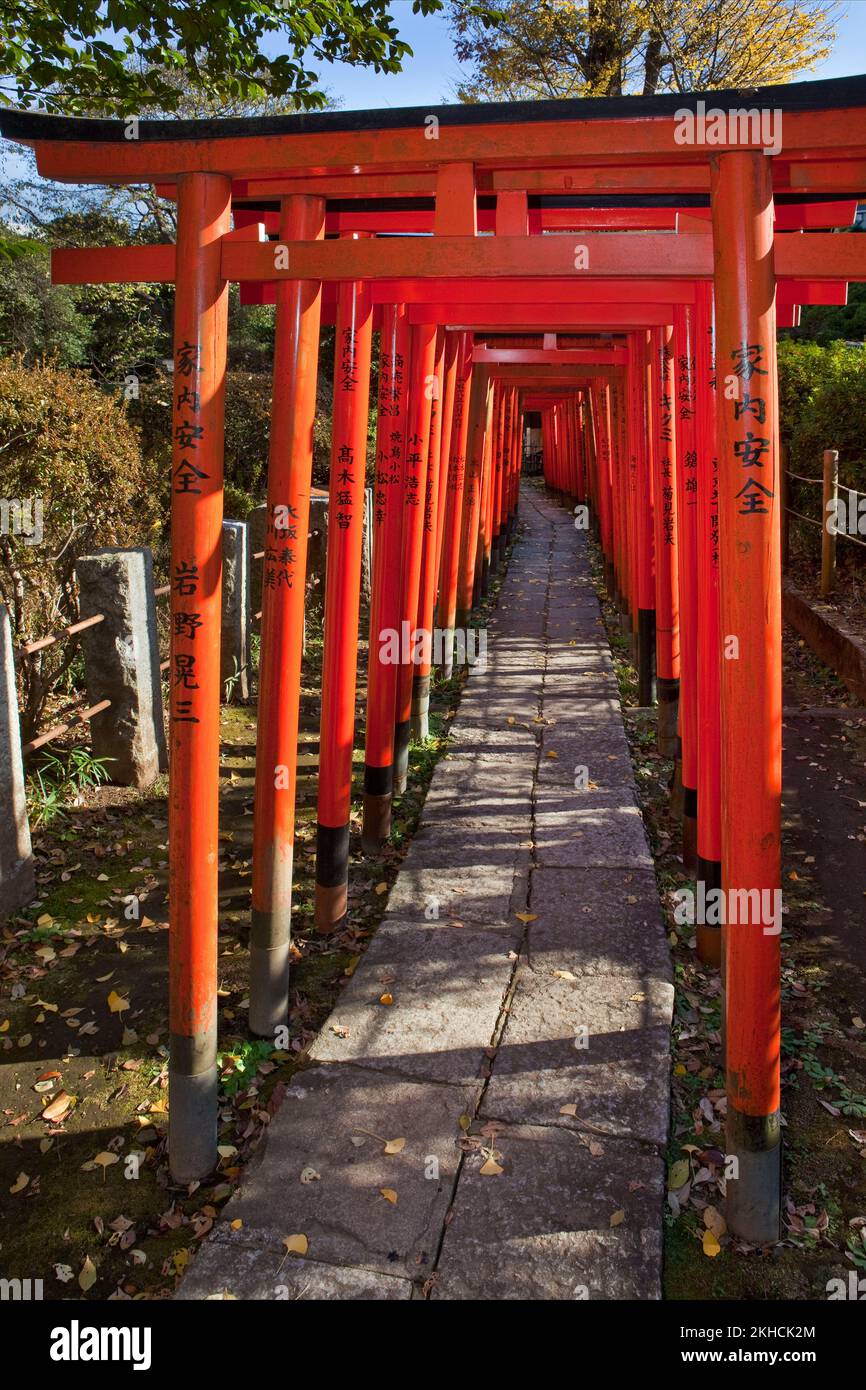 Torii gates nezu sanctuaire Banque de photographies et d’images à haute ...