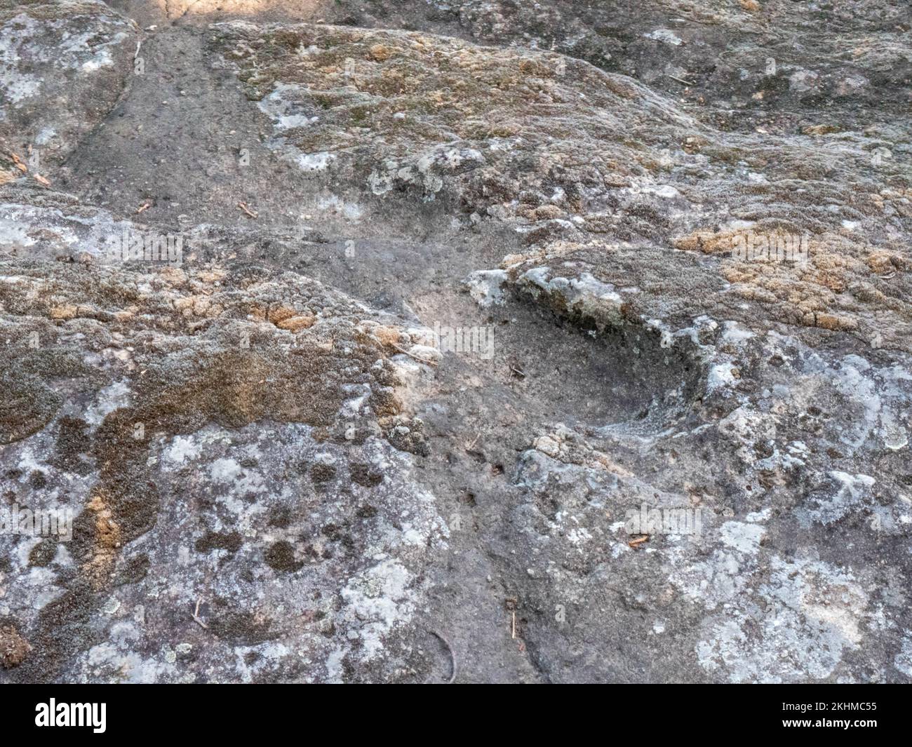 Empreintes de diables Banque de photographies et d’images à haute ...