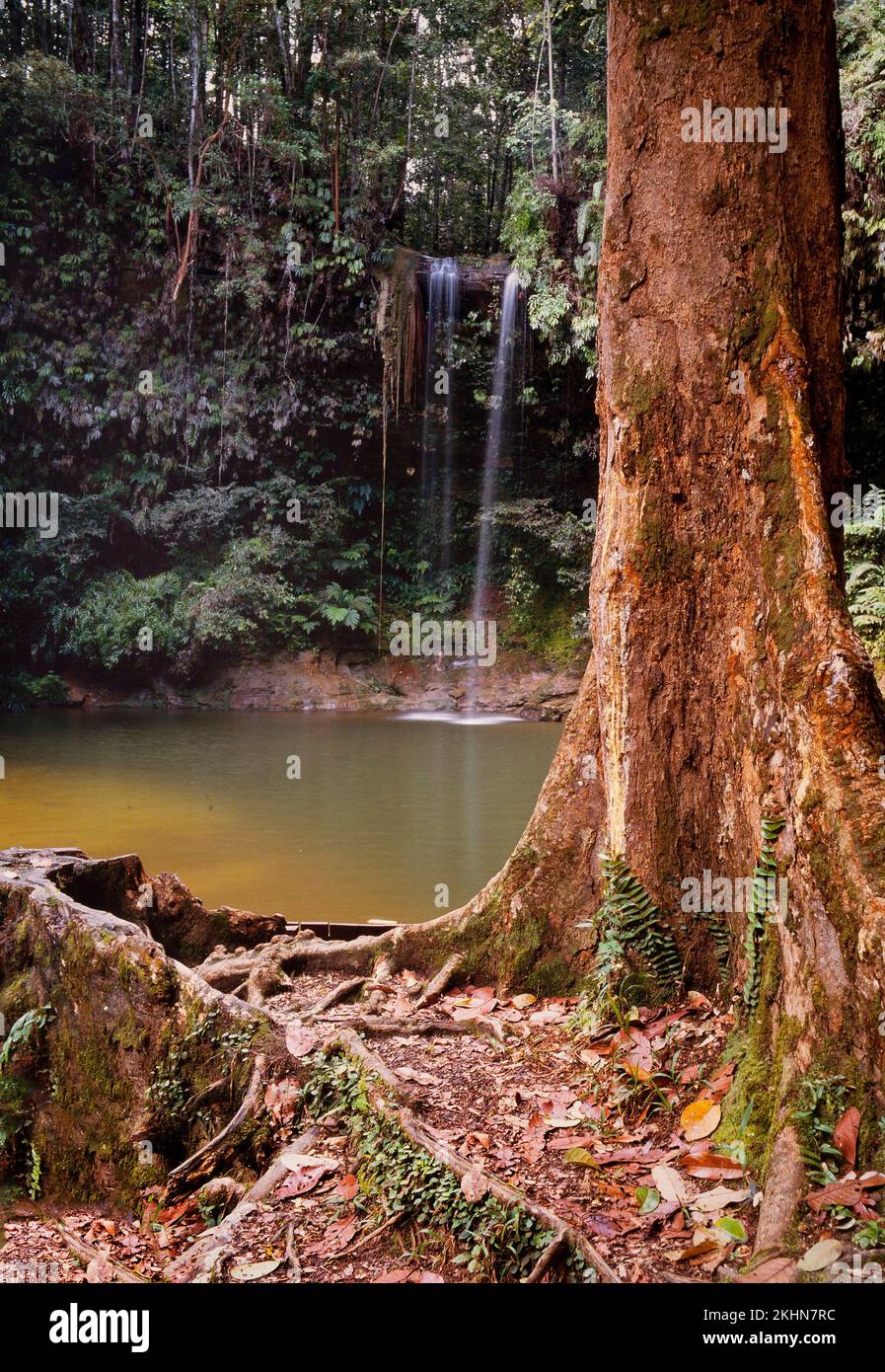 Collines de lambir Banque de photographies et d’images à haute ...