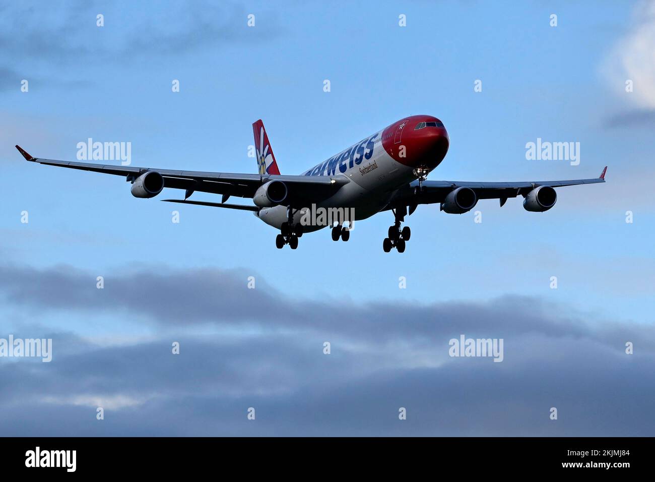 Avion edelweiss air airbus a340 300 Banque de photographies et d’images ...