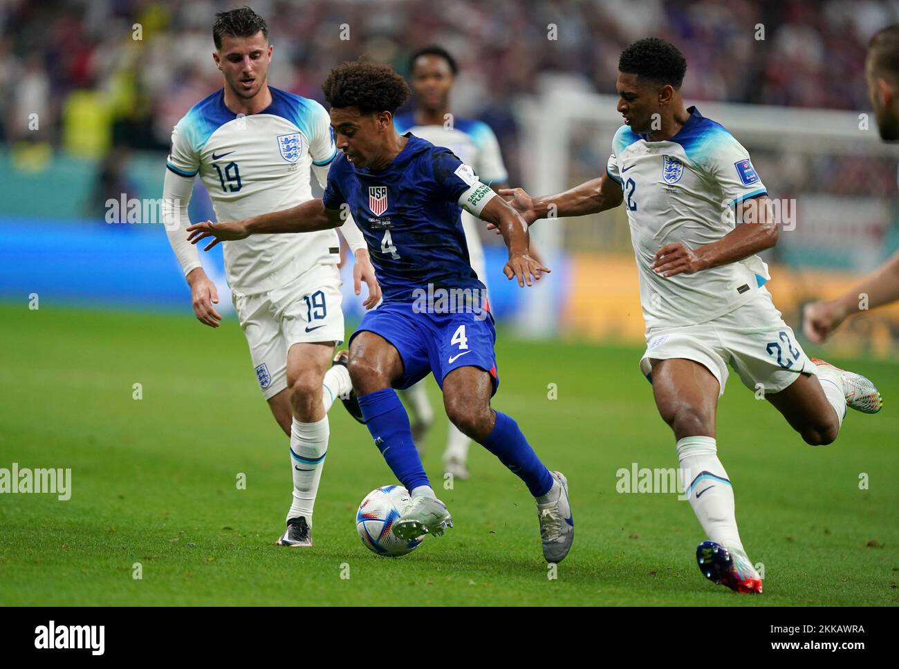 Aux États-Unis, Tyler Adams (au centre) combat avec Jude Bellingham (à ...
