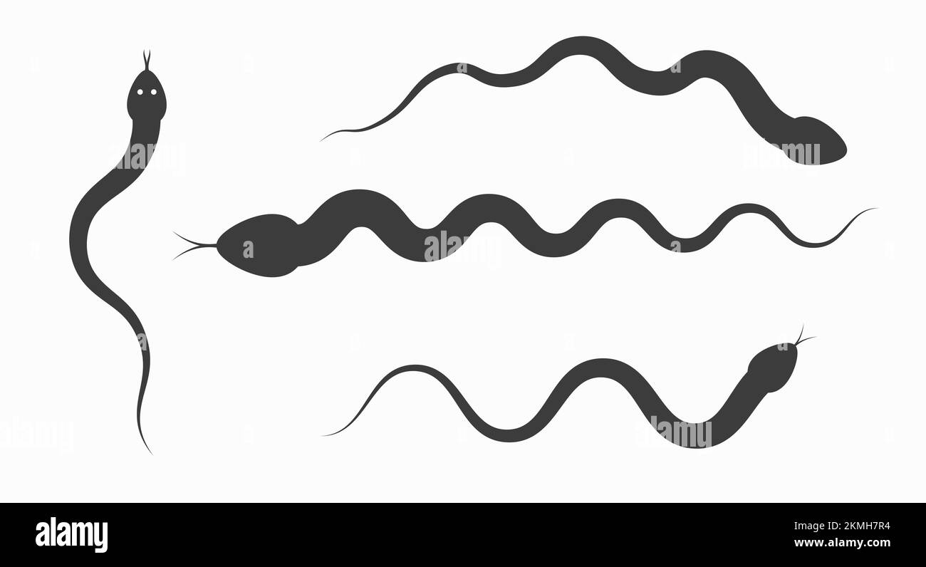 Snake silhouette Banque de photographies et d’images à haute résolution ...