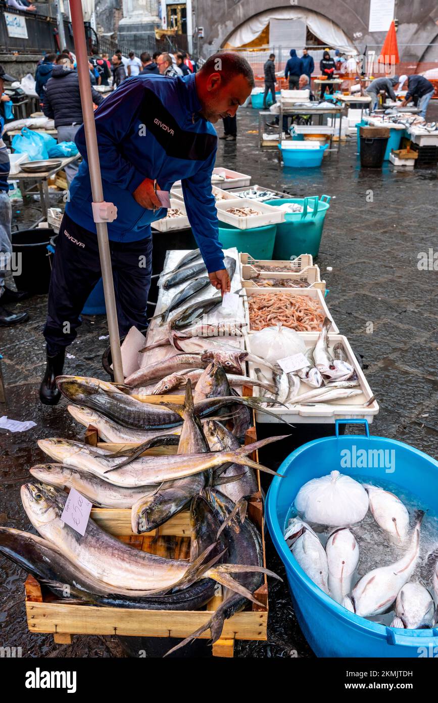 Poisson frais/fruits de mer à vendre au Daily Fish Market, Catane ...