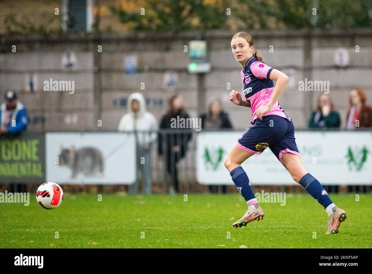Bonhomme de ceylan Banque de photographies et d’images à haute ...