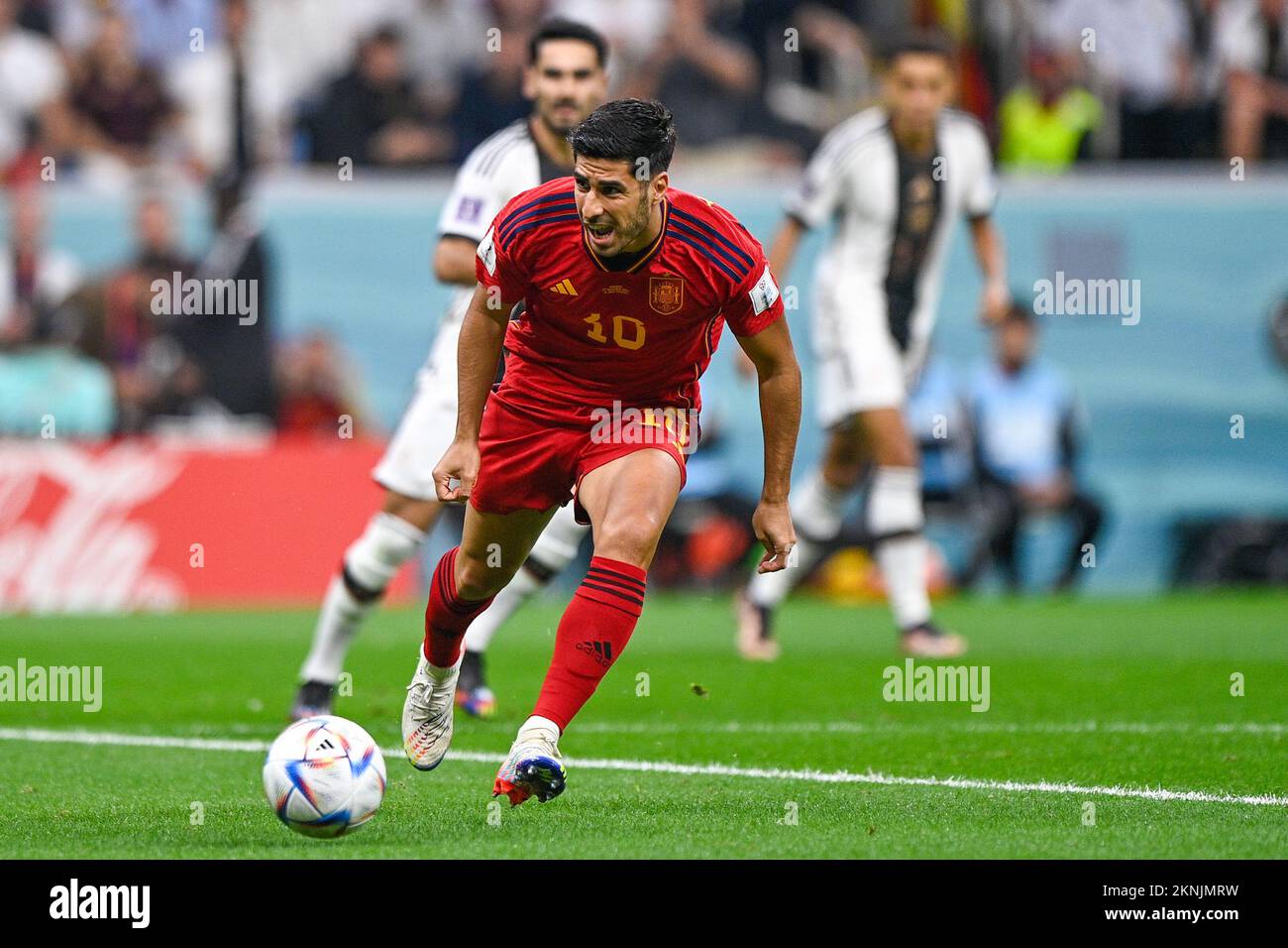 AL KHOR, QATAR - NOVEMBRE 28 : Marco Asensio d'Espagne lors du match de ...
