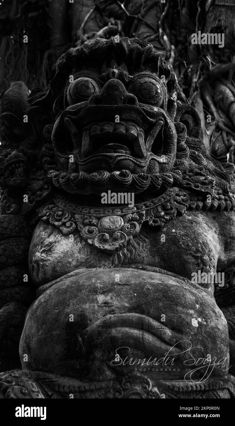 Sanctuaire de singe de bali Banque d'images noir et blanc - Alamy