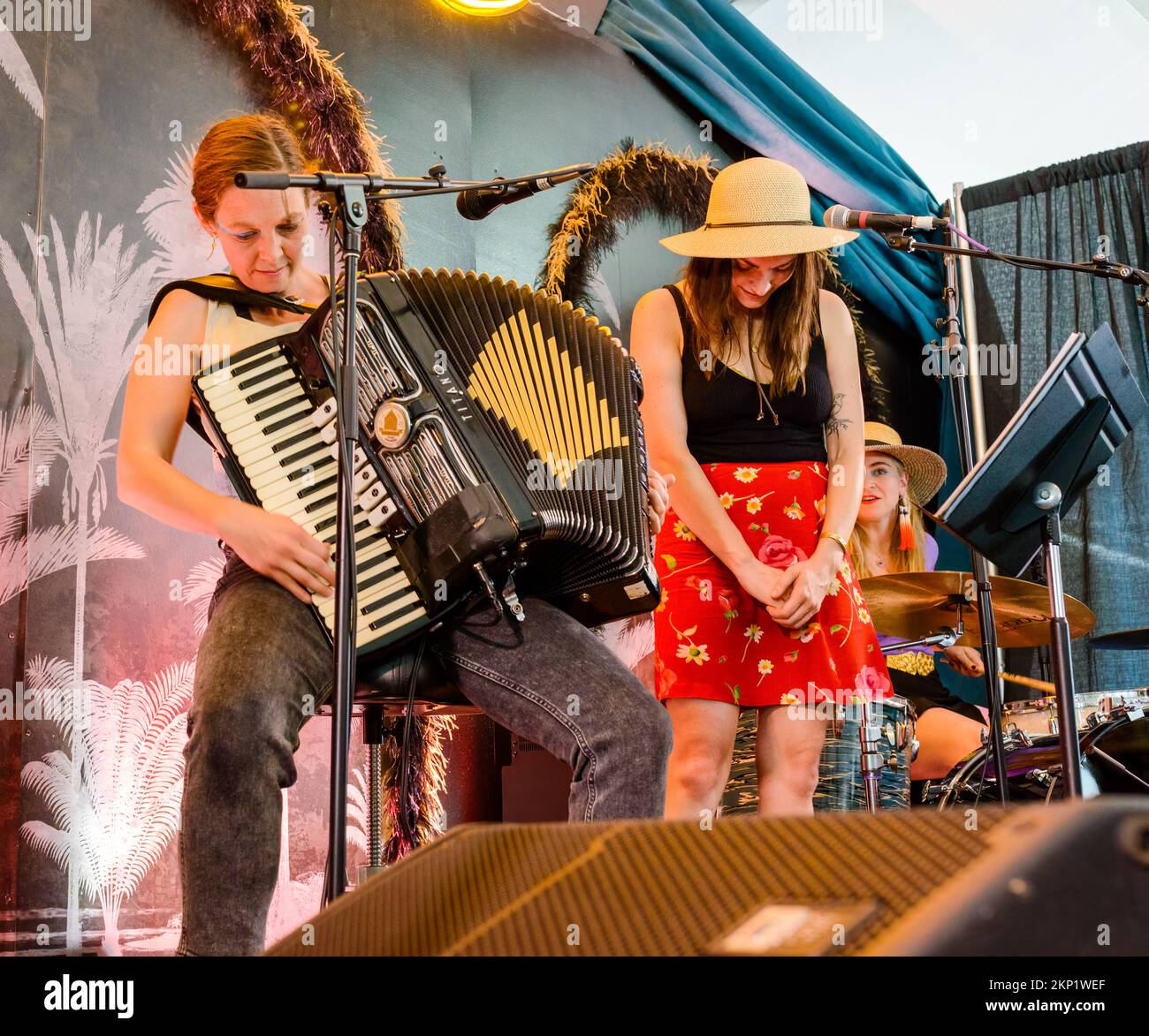 Piano accordion closeup Banque de photographies et d’images à haute ...