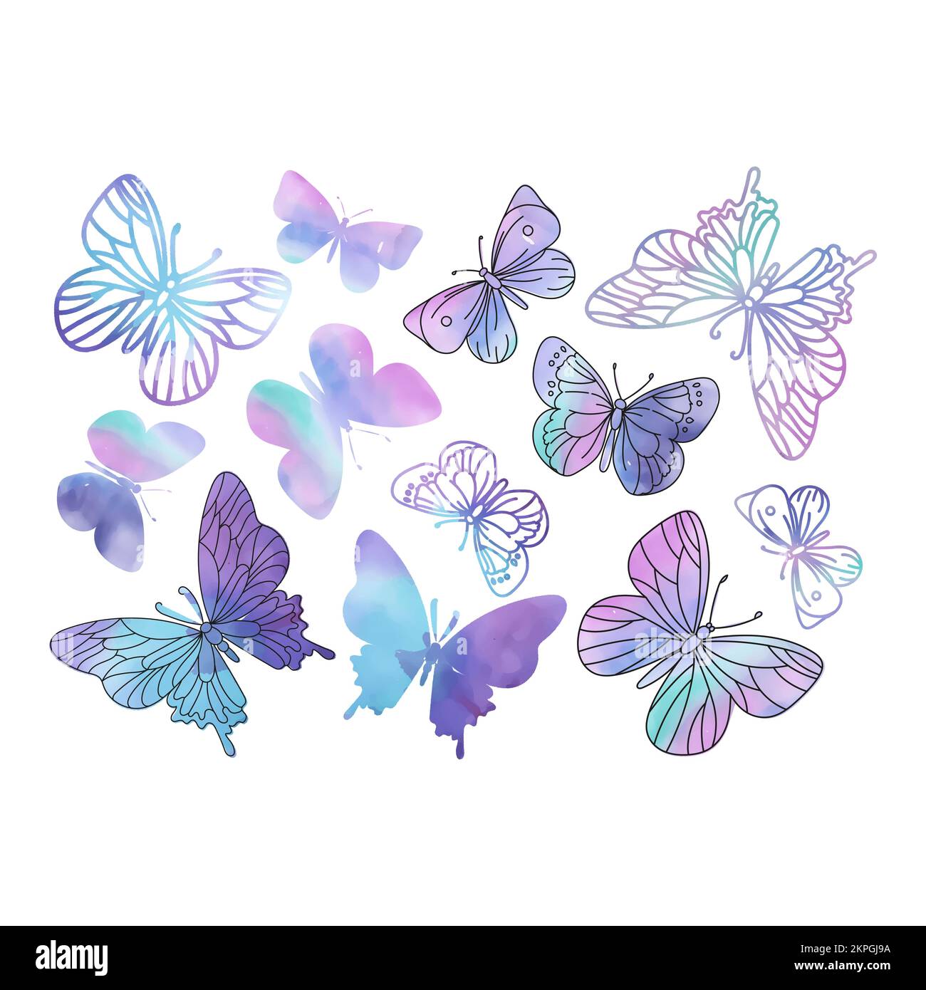 PAPILLONS VIOLETTES magnifique été insectes tropicaux sur fond blanc ...