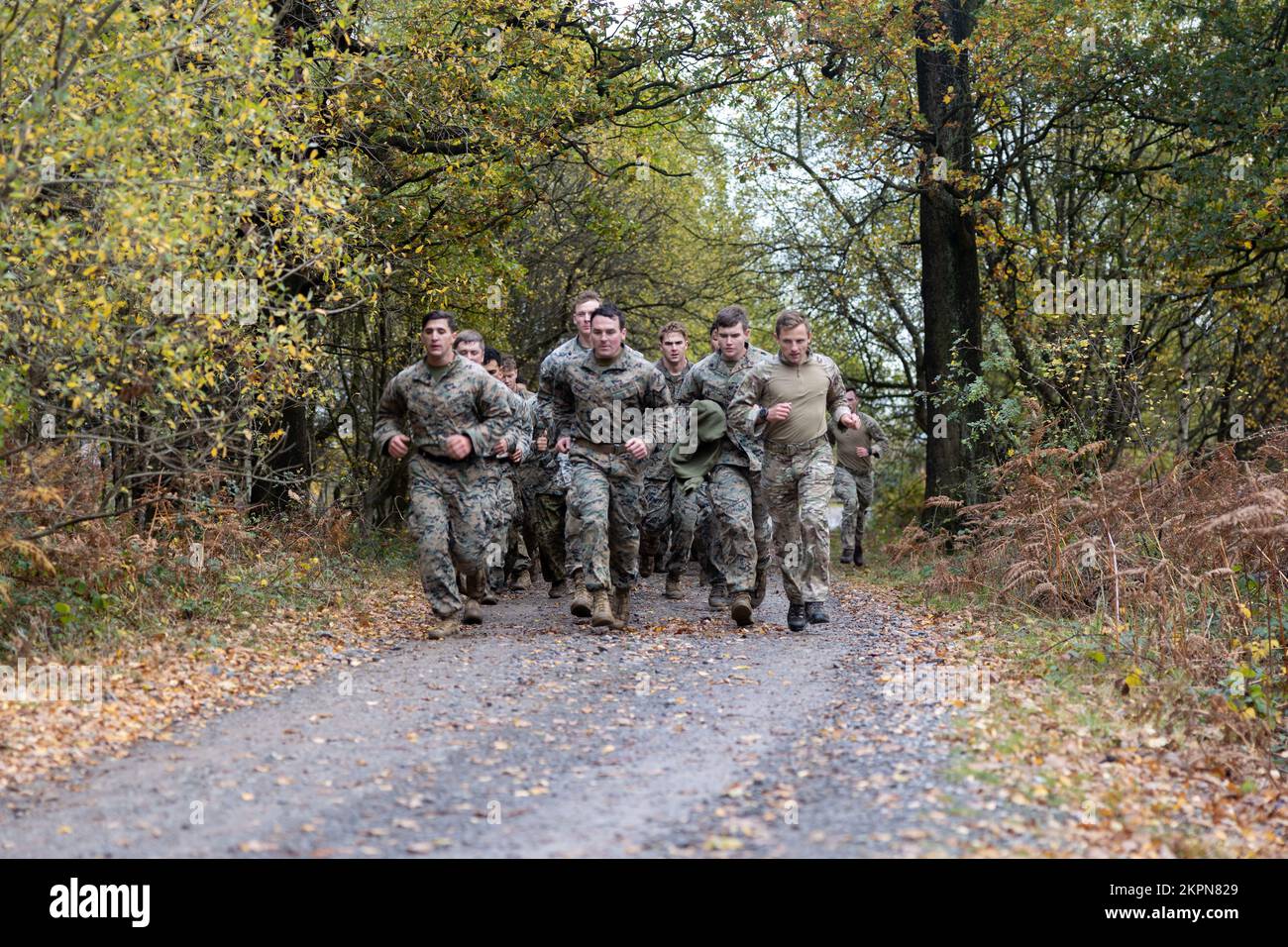 43 commando royal marines Banque de photographies et d’images à haute ...