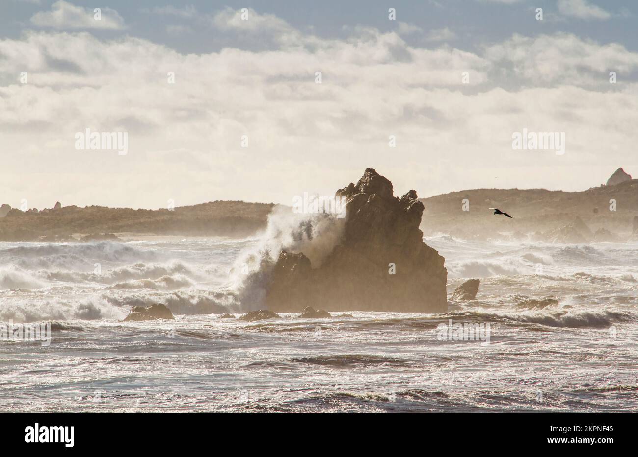 Paysage océanique sur une marée côtière de vagues écrasant contre la ...