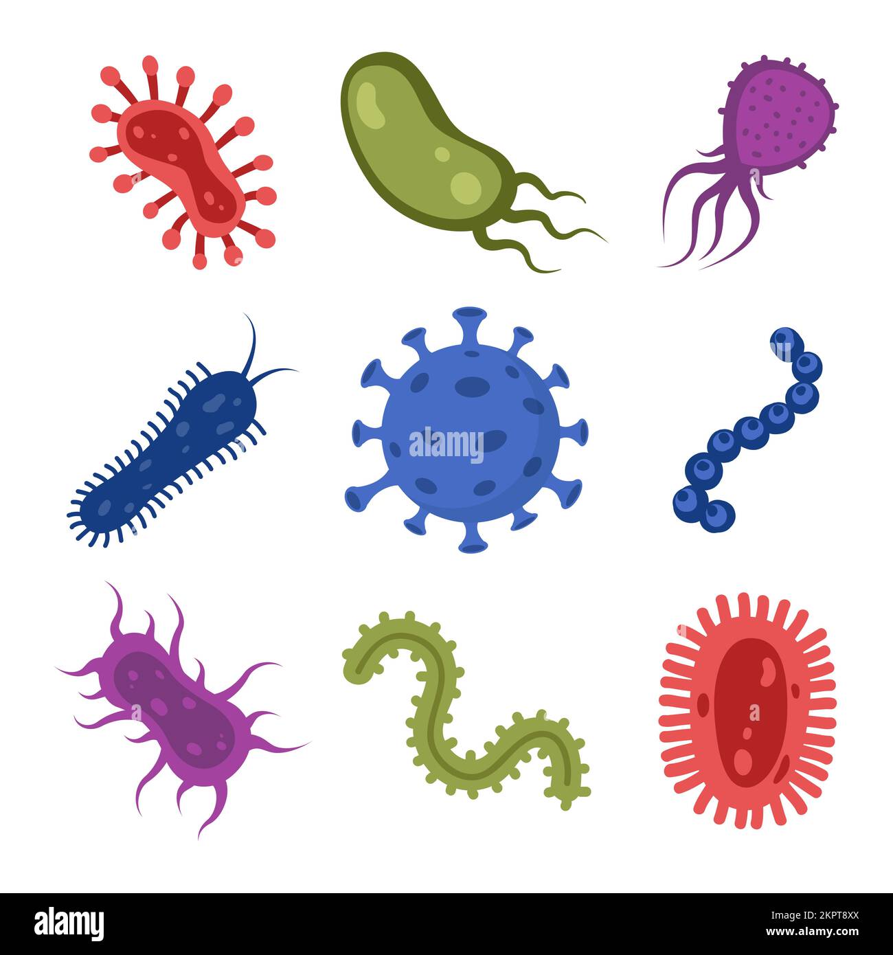 Différentes bactéries, micro-organismes pathogènes, kit. Bactéries et ...