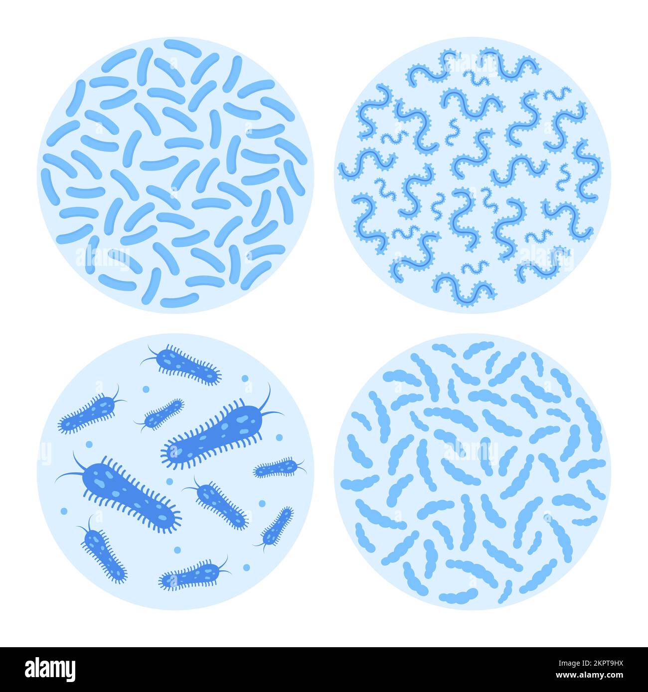 Microorganismes pathogènes Banque de photographies et d’images à haute ...