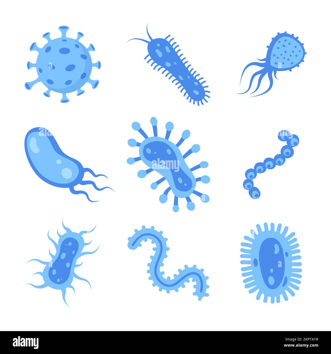 Différentes bactéries, micro-organismes pathogènes, kit. Bactéries et ...