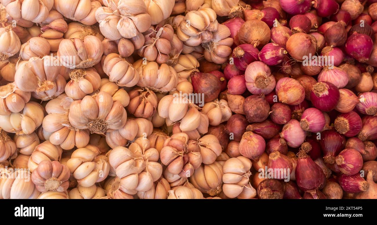 échalote sèche Banque de photographies et d’images à haute résolution ...