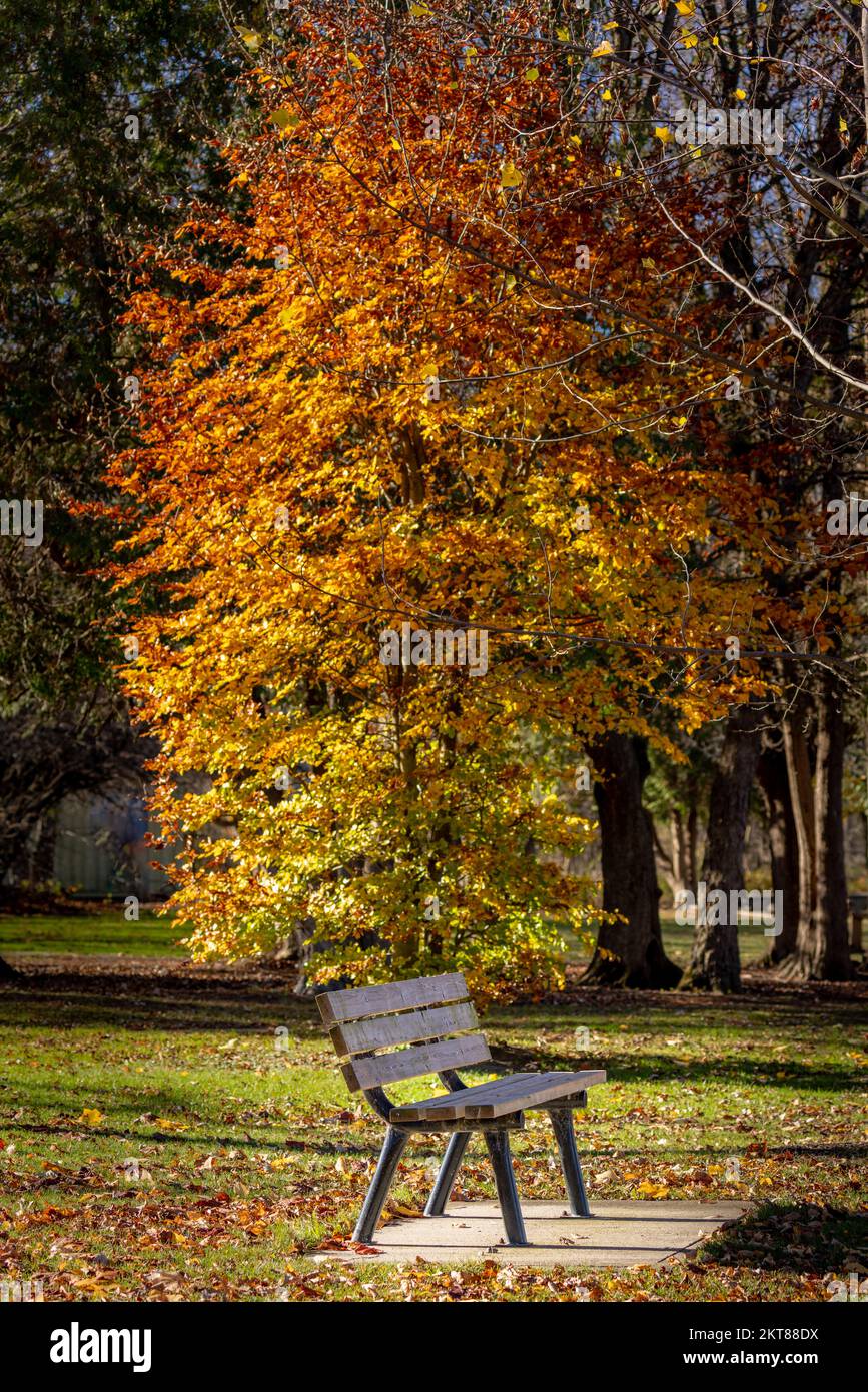 Lemoine point Banque de photographies et d’images à haute résolution - Alamy