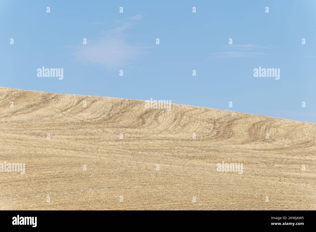 Vue sur le terrain sec. Changement climatique. Sécheresse sévère ...