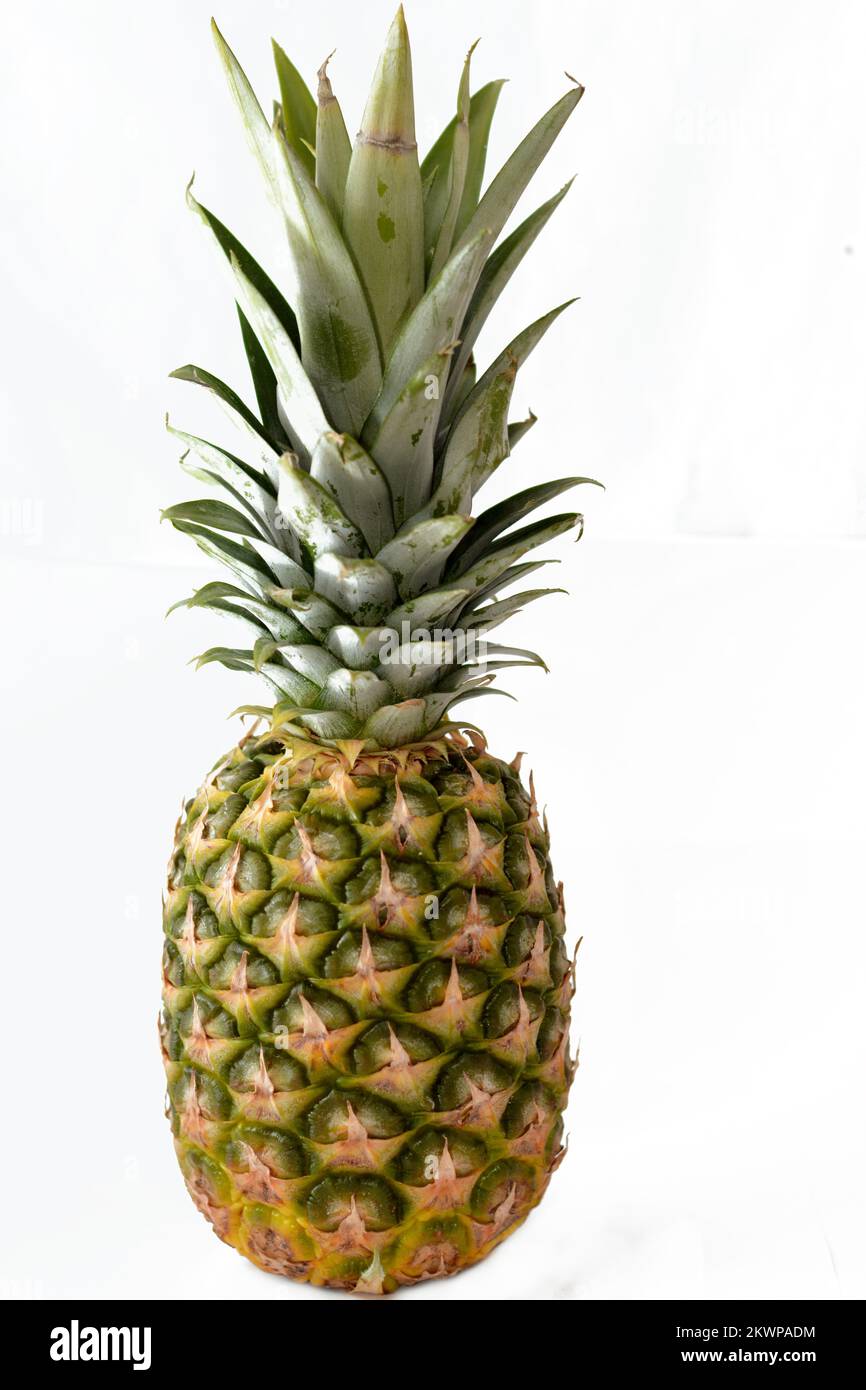 L'ananas (Ananas comosus), une plante tropicale avec un fruit ...