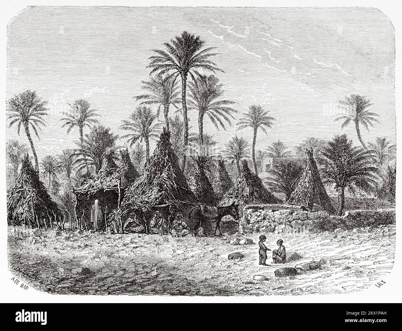 Oasis algérie Banque d'images détourées - Alamy