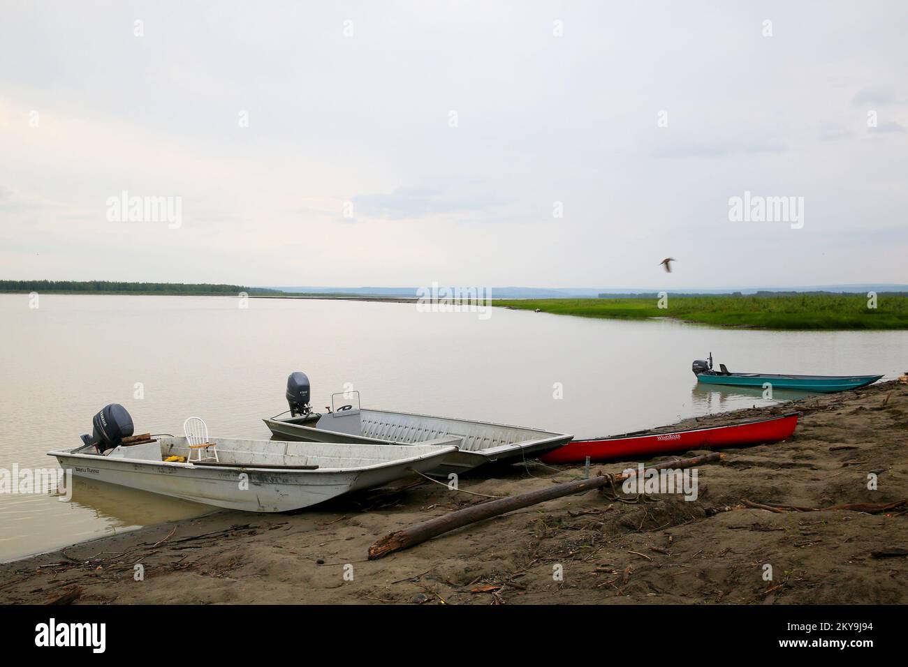 Circle, AK, 16 juillet 2014 les Alaskans autochtones utilisent le ...