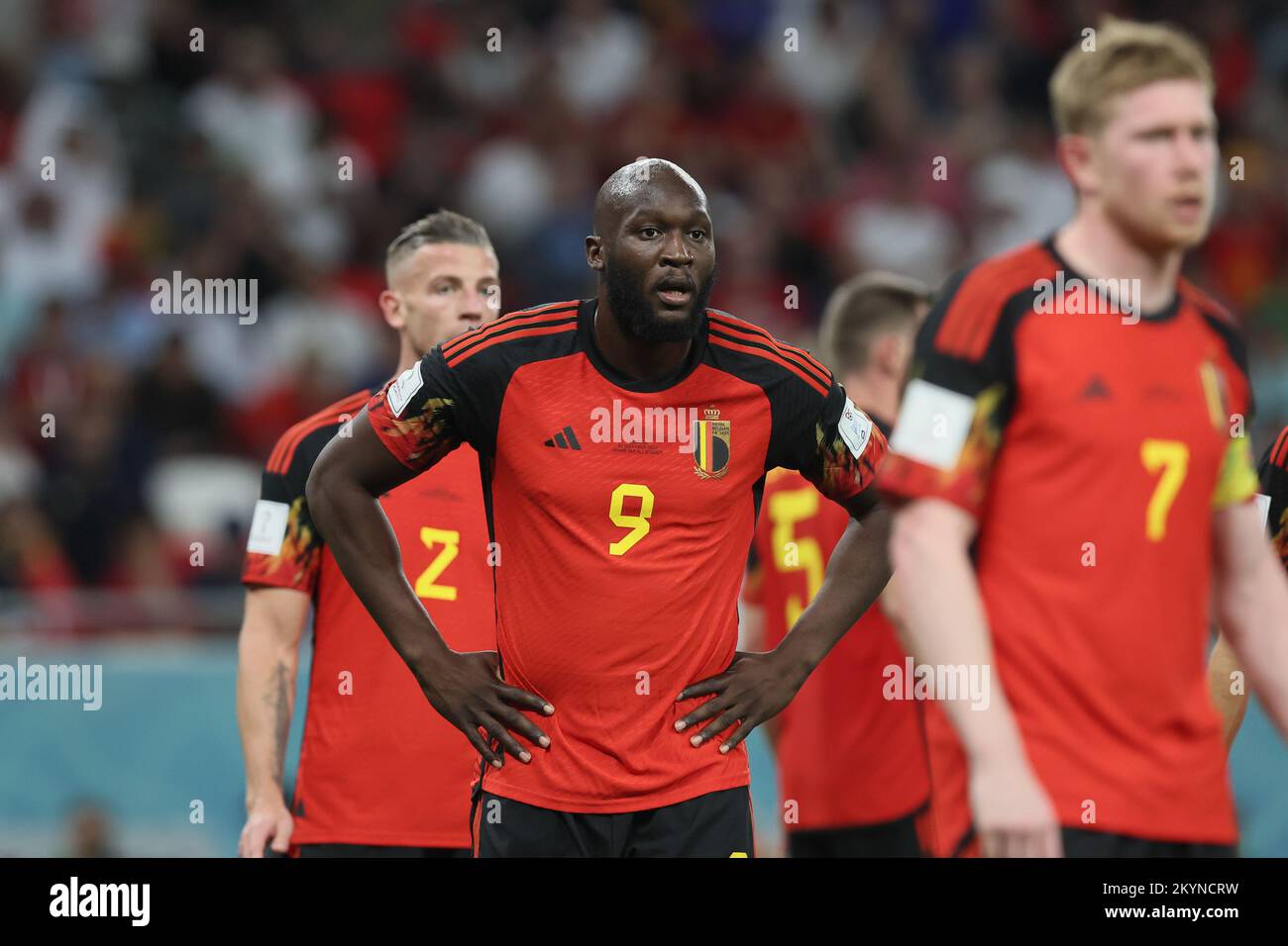 Doha, Qatar, 01/12/2022, le Romelu Lukaku de Belgique semble abattu ...