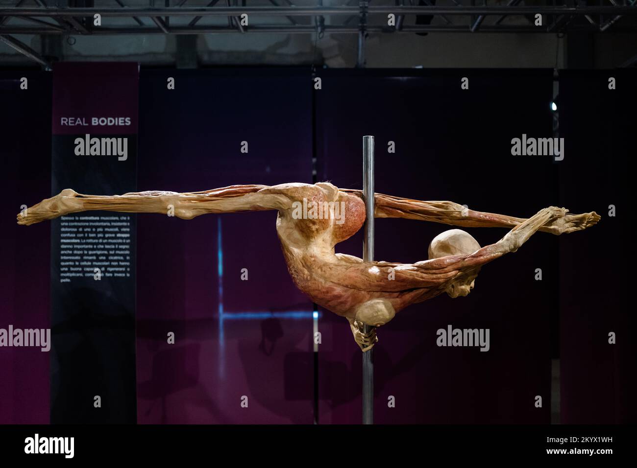 Bari, Italie. 02nd décembre 2022. Un corps humain posant à l'exposition ...