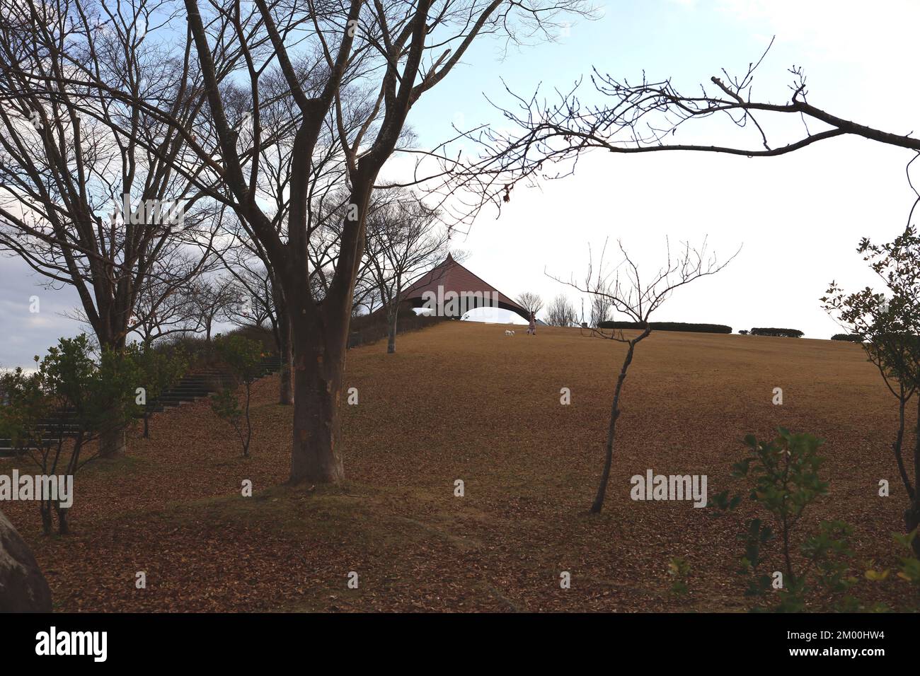 Sendai, Miyagi, Japon, décembre 2022,3M Parc du port de Sendai et ...