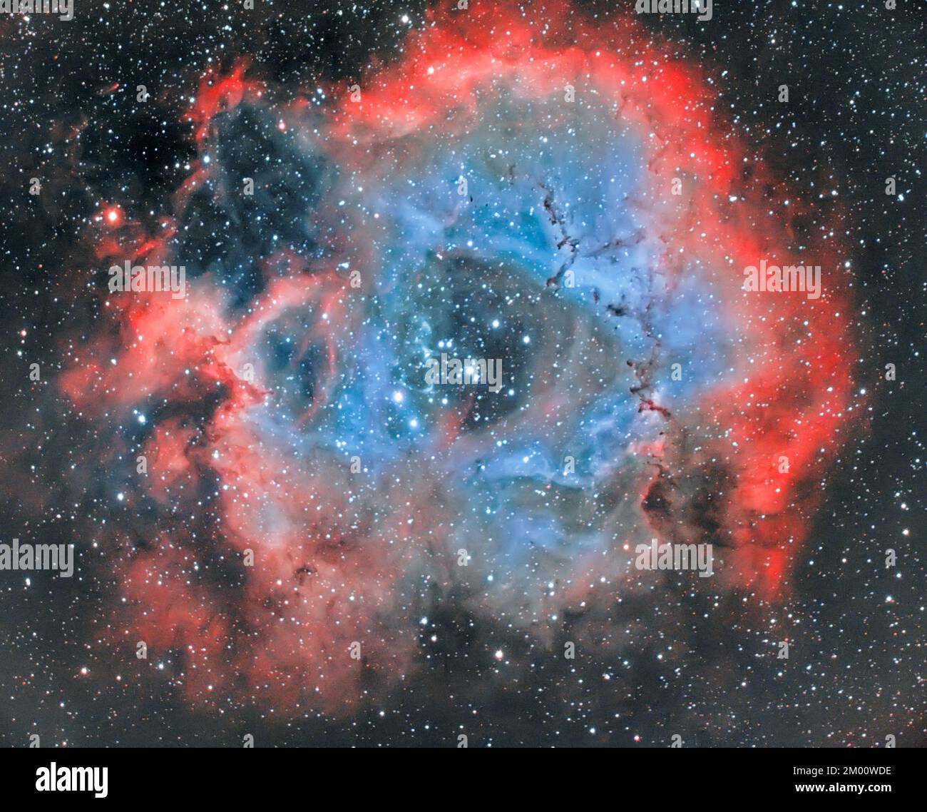 Rosette nebula Banque de photographies et d’images à haute résolution ...