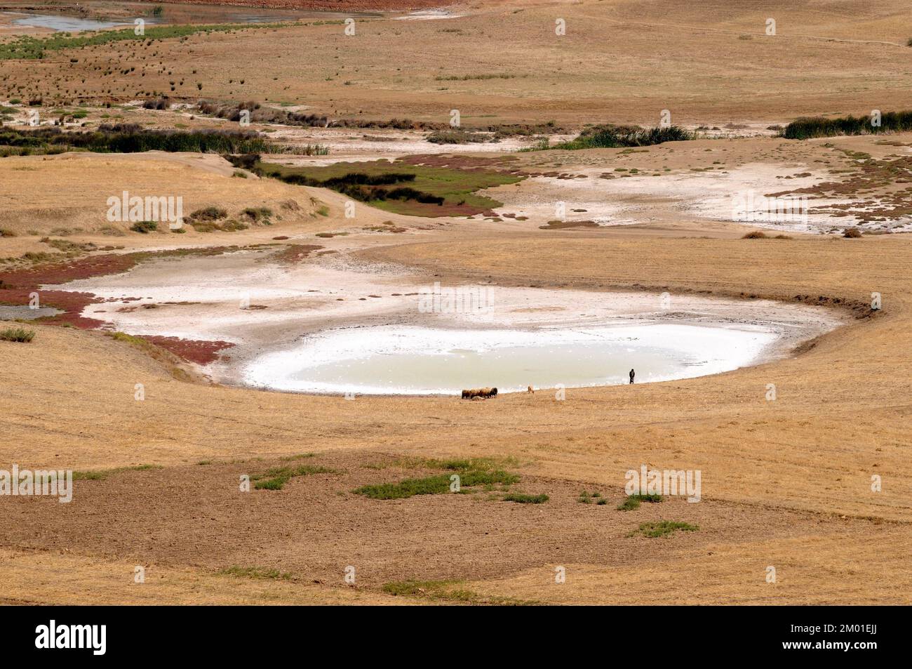 Champ de sel maroc Banque de photographies et d’images à haute ...