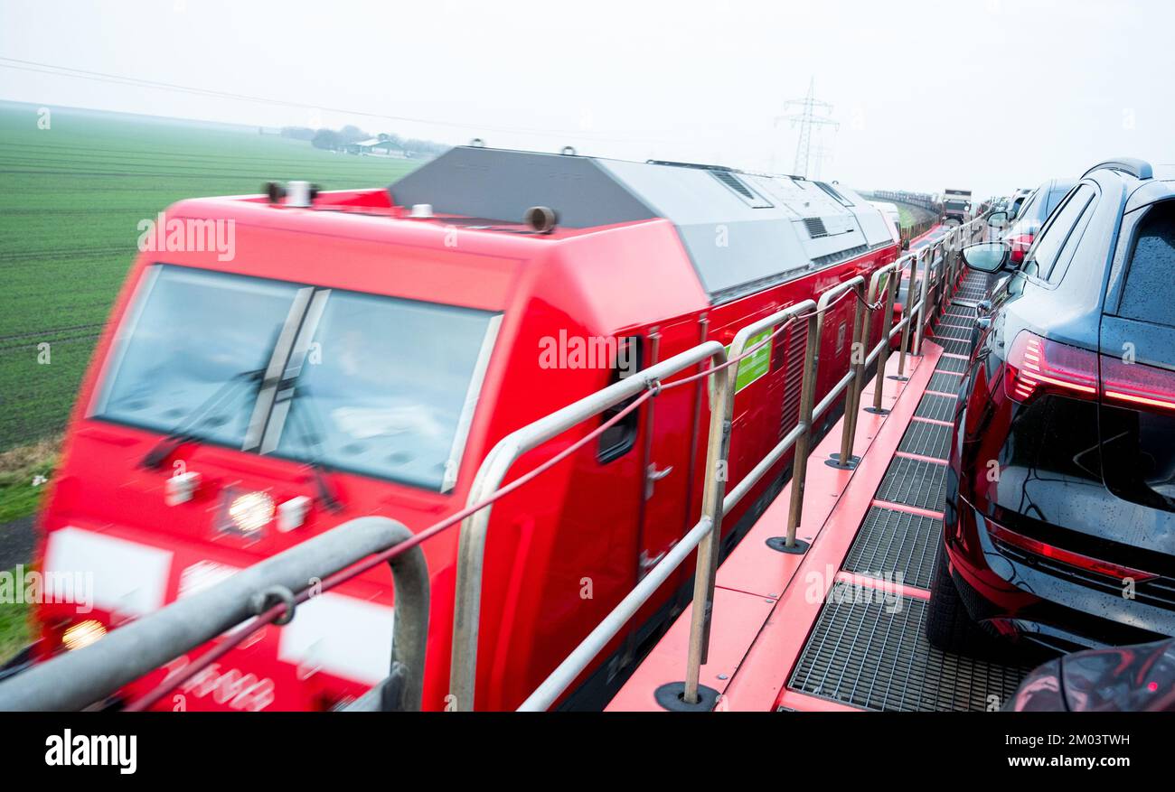 PRODUCTION - 30 novembre 2022, Schleswig-Holstein, Klanxbüll/Sylt: Deux ...