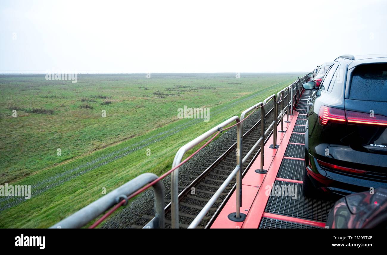 PRODUCTION - 30 novembre 2022, Schleswig-Holstein, Klanxbüll/Sylt: Un ...