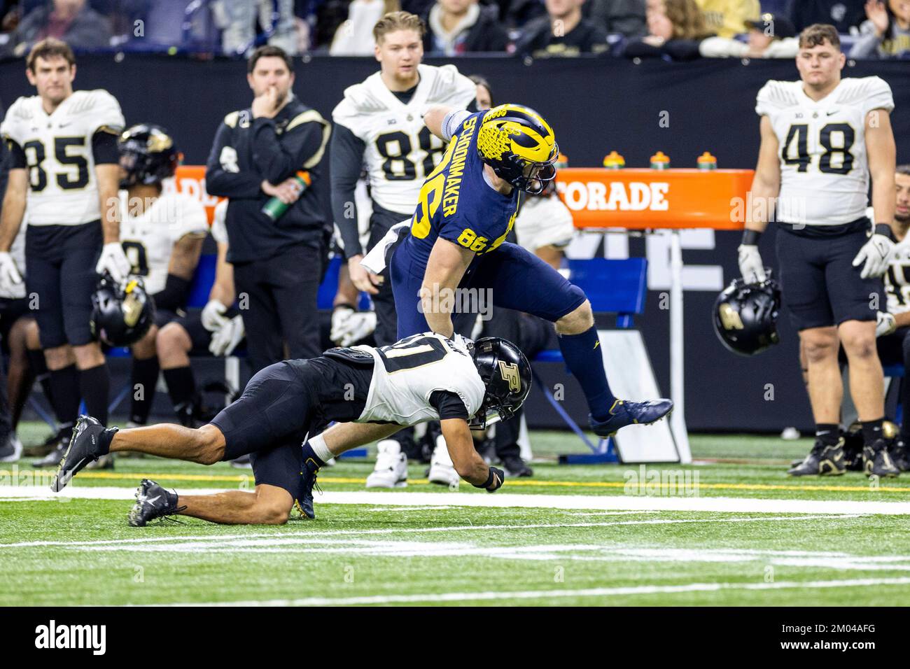 Luke schoonmaker Banque de photographies et d’images à haute résolution ...